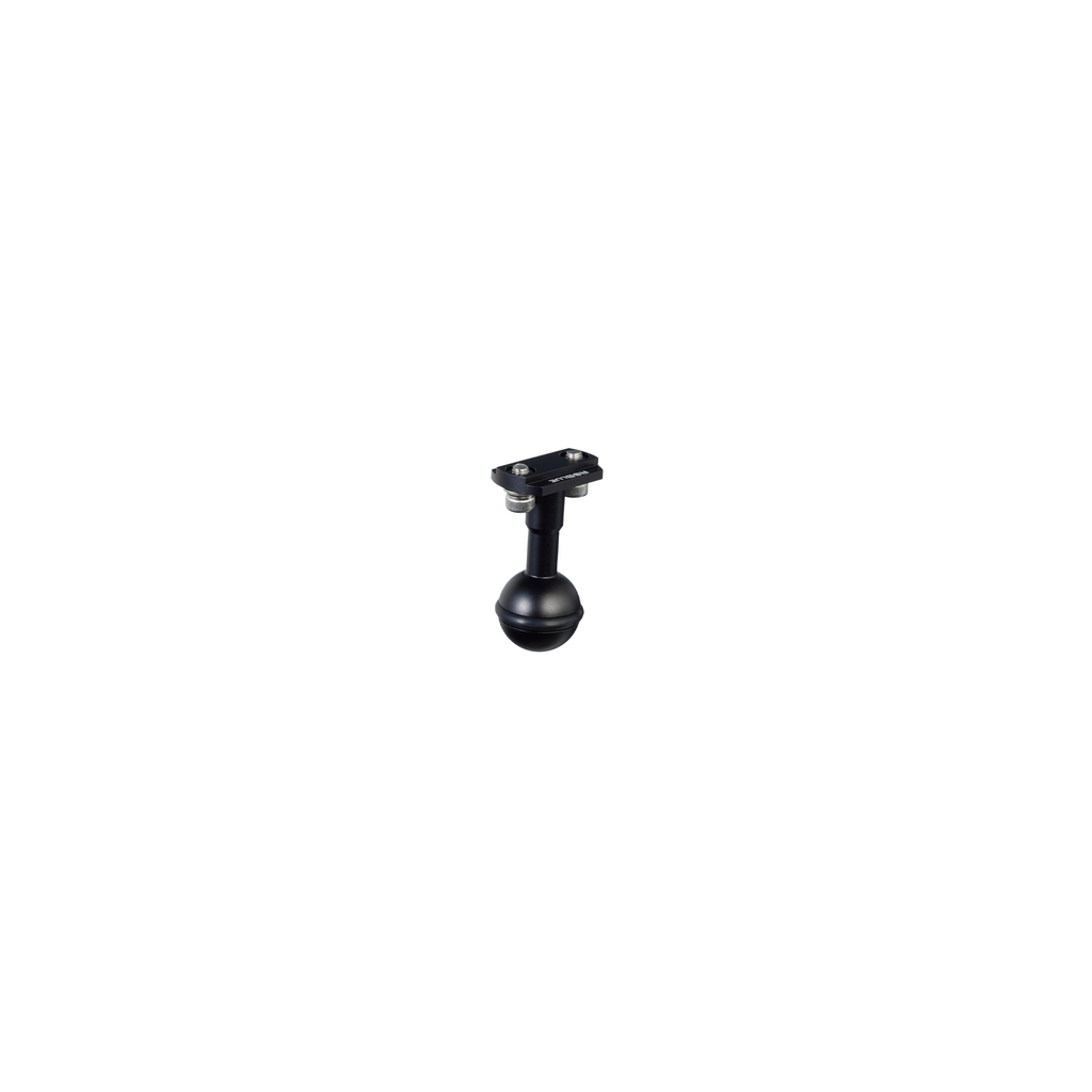 Ball Adapter – RGBlue